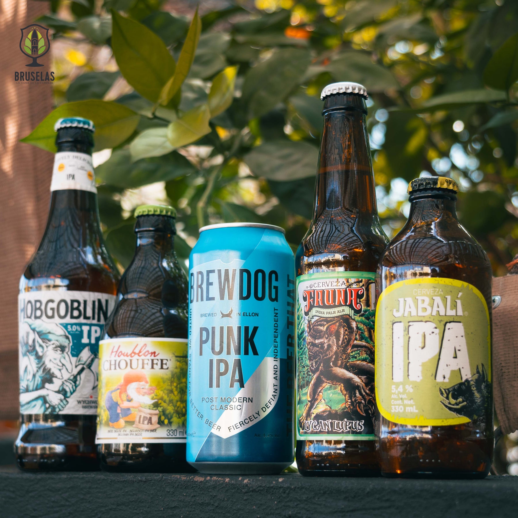 Cerveza artesanal en México con envío a todo el país | Bruselas Beer ...